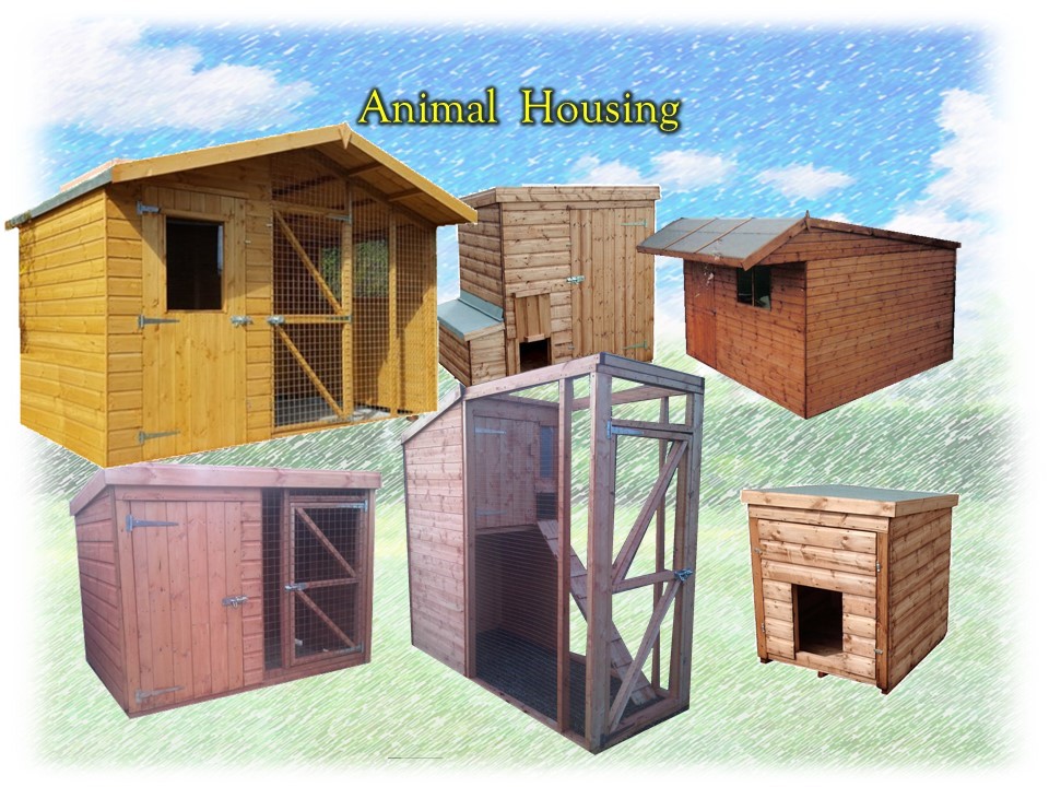 Animal Houses – theshedshop.com